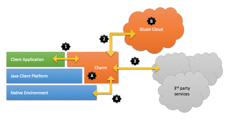 Gluon Charm Documentation